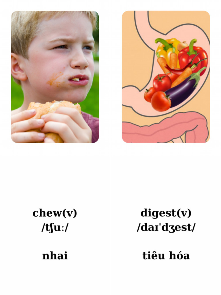 U11 U12 | PDF