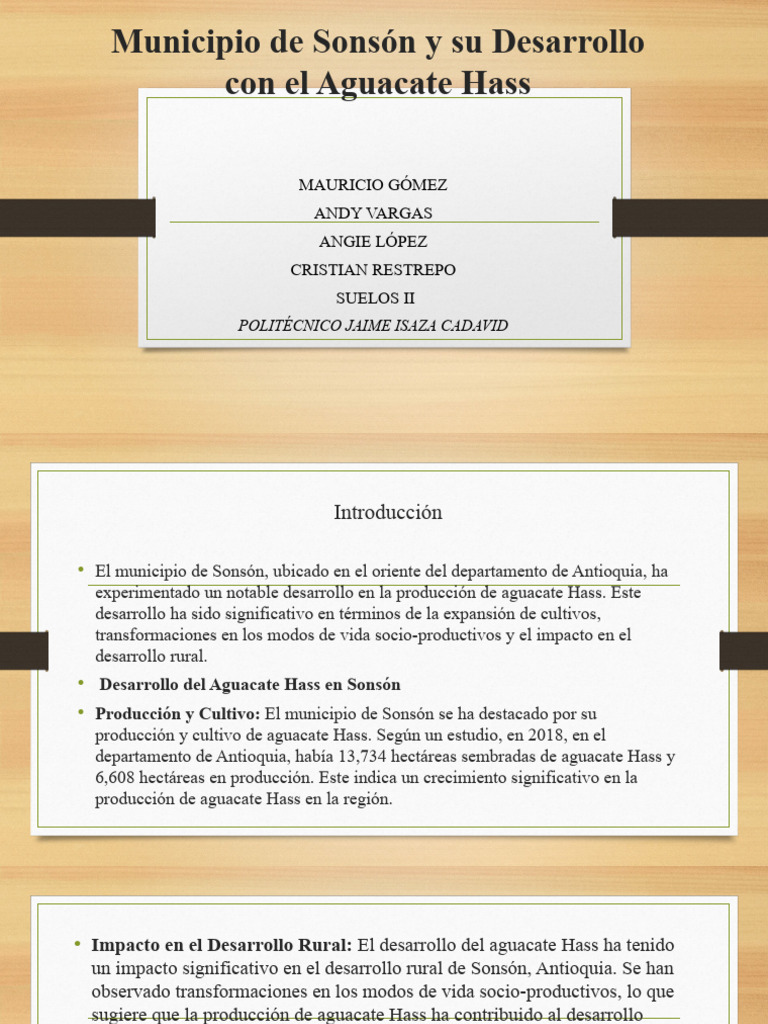 Municipio de Sonsón y Su Desarrollo Con El | PDF | Aguacate