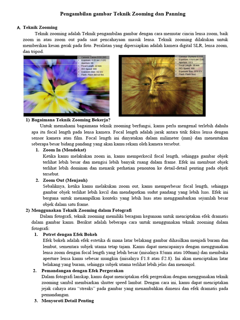 Memamahi Pengambilan Gambar Teknik Zooming Dan Panning | PDF