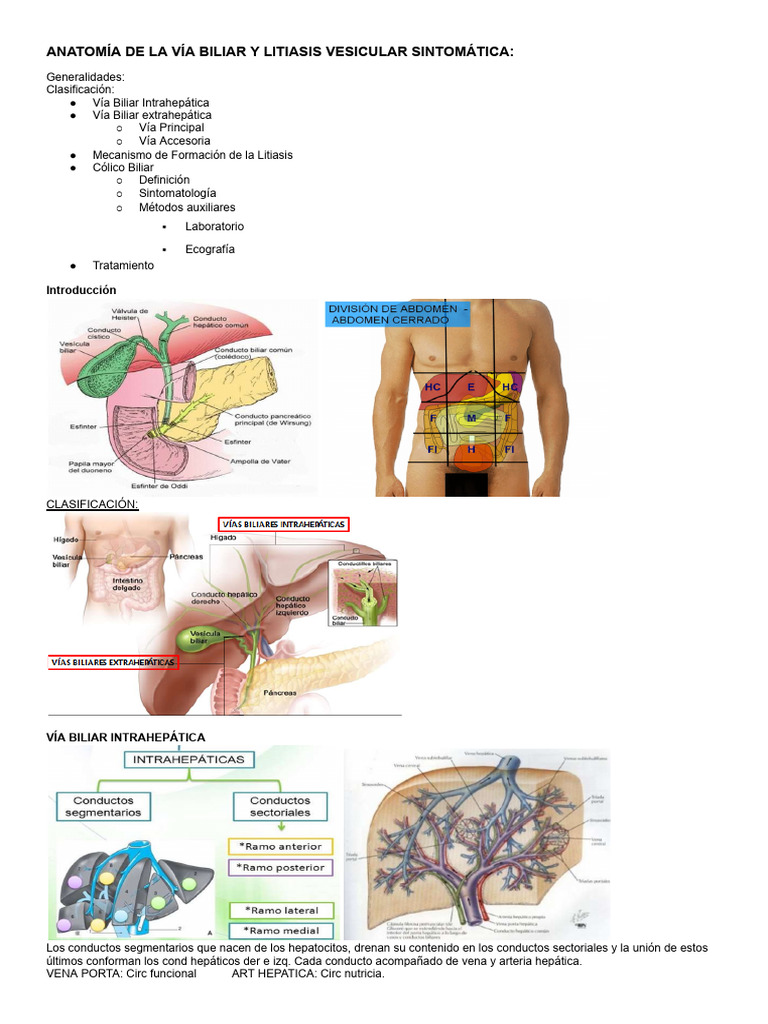 1.ANATOMÍA DE LA VÍA BILIAR Y LITIASIS VESICULAR SINTOMÁTICA - CLÍNICA ...