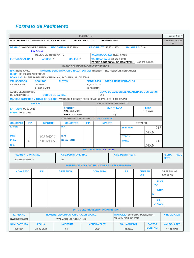 formato-de-pedimento | PDF | Business | Moneda