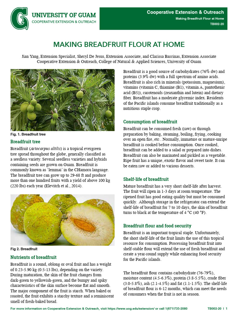 Making Breadfruit Flour | PDF | Cakes | Flour
