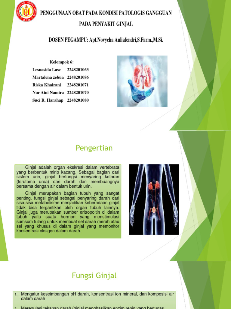 Panduan Obat Penyakit Ginjal | PDF | Pengembangan Diri | Kesehatan Holistik