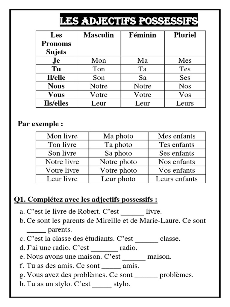 Les Adjectifs Possessifs | PDF | Arts du langage et discipline
