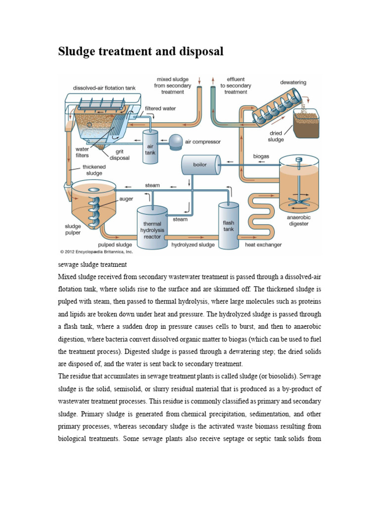 Sludge Treatment N Disposal | PDF | Sewage Treatment | Anaerobic Digestion