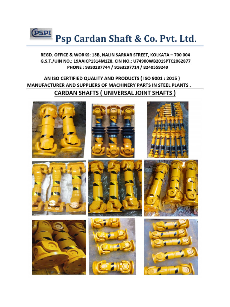 PSP Brochure | PDF
