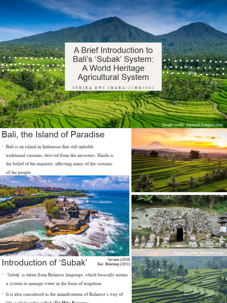 A Brief Introduction To Bali's Subak' - BY INDIRA DWI IMARA | PDF | Bali | Irrigation