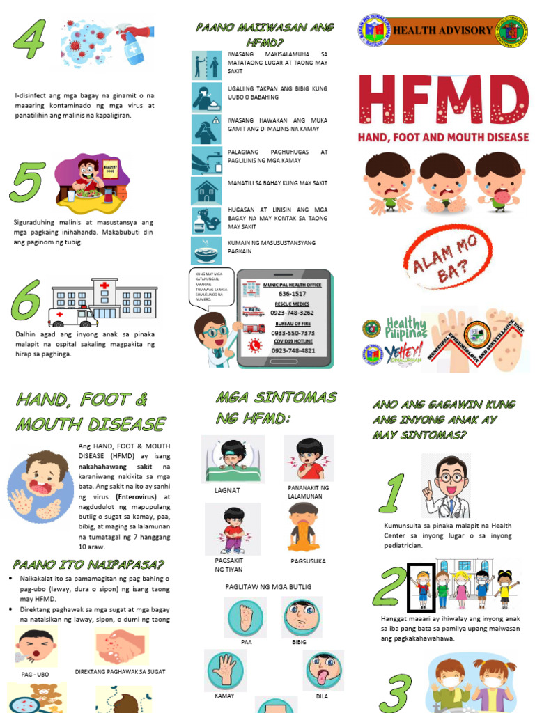 HFMD - Din Mho Iec | PDF