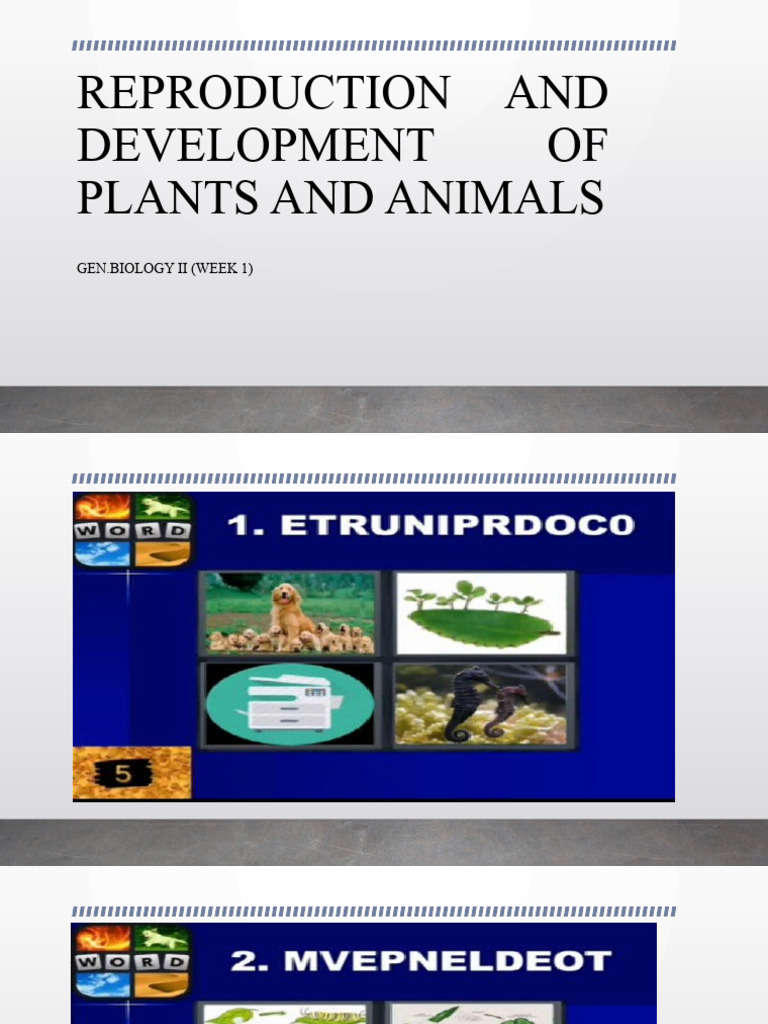 2ND Semgeneral Biology 2 Lesson 1 | PDF | Reproduction | Sexual ...