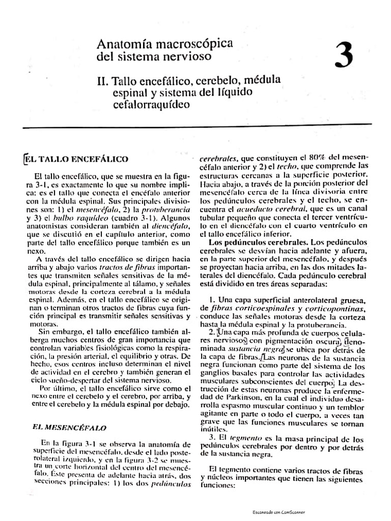 Tronco Encefalico y Medula Espinal | PDF