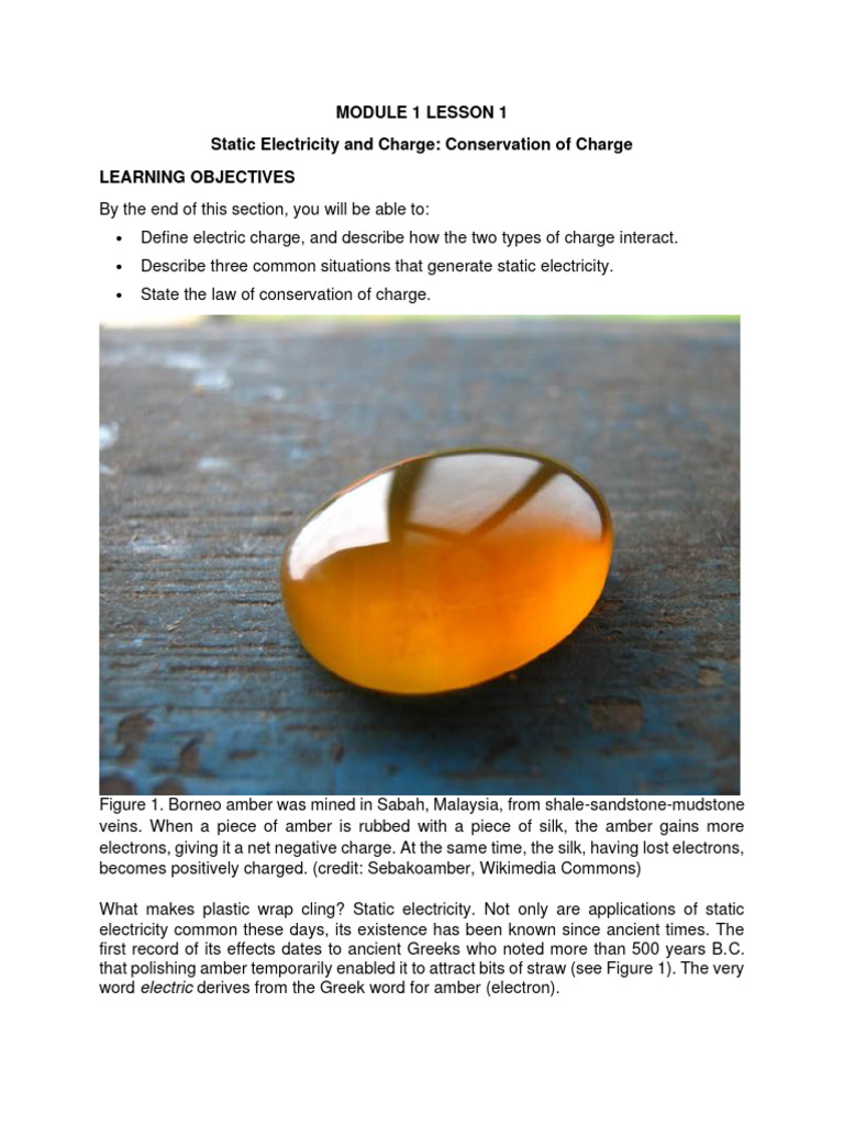 Module 1 Lesson 1 | PDF | Electric Charge | Atoms
