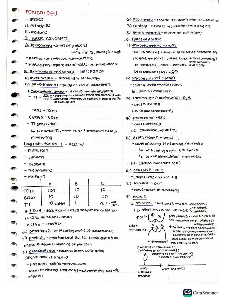 Download CamScanner App Now | PDF