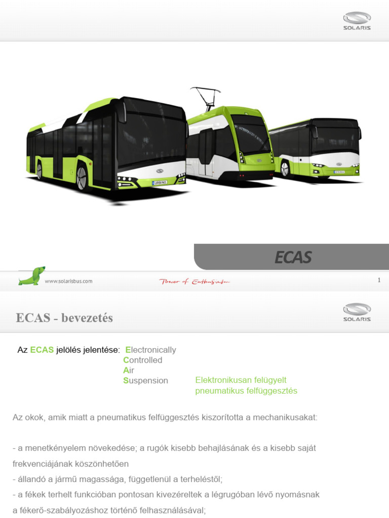 Ecas Iv | PDF