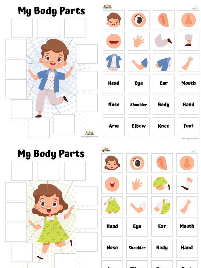 Body Parts | PDF