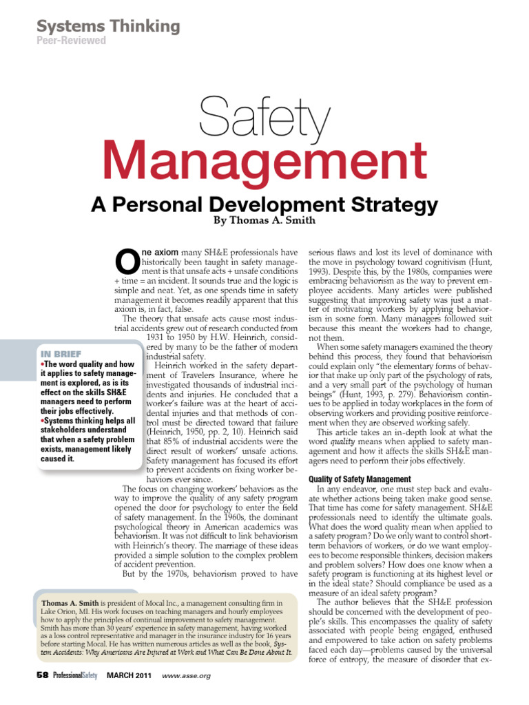 Safety Management Startegy VIM | PDF | System | Thought