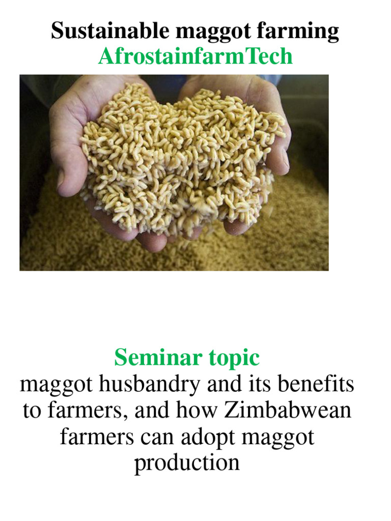 Maggot Farming for Zimbabwean Farmers | PDF | Fly | Soil