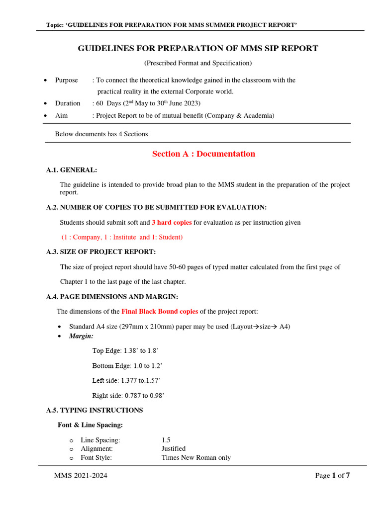 SIP - Report Detail - MMS - How To Prepared Report - Ver 1.1 | PDF