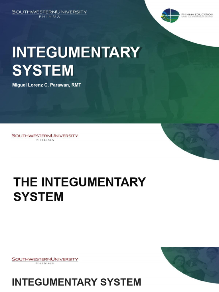 Integumentary System | PDF | Skin | Integumentary System