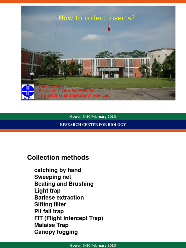 How To Collect Insects | PDF | Insects | Lepidoptera