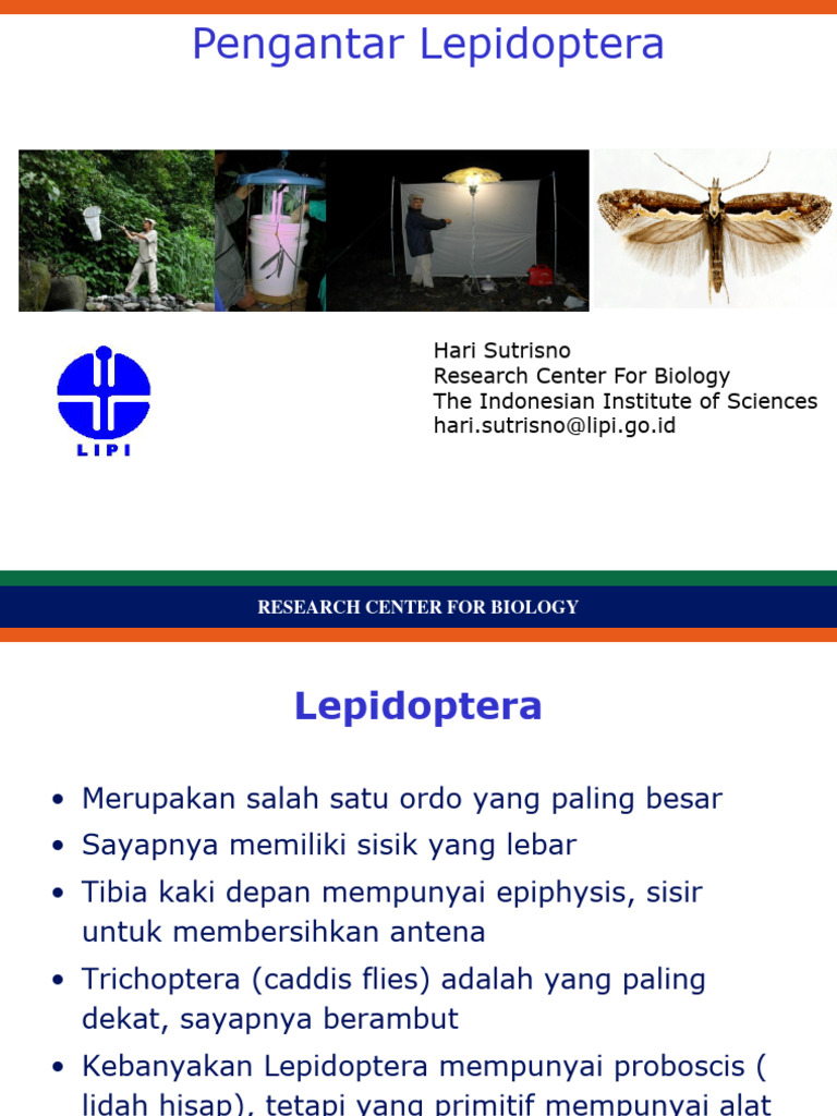 Karakteristik dan Adaptasi Lepidoptera | PDF | Ilmu Sosial