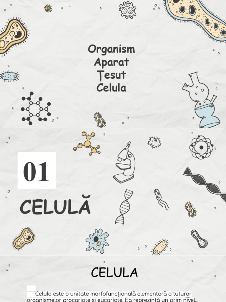 Celula, Tesut, Aparat, Organism | PDF