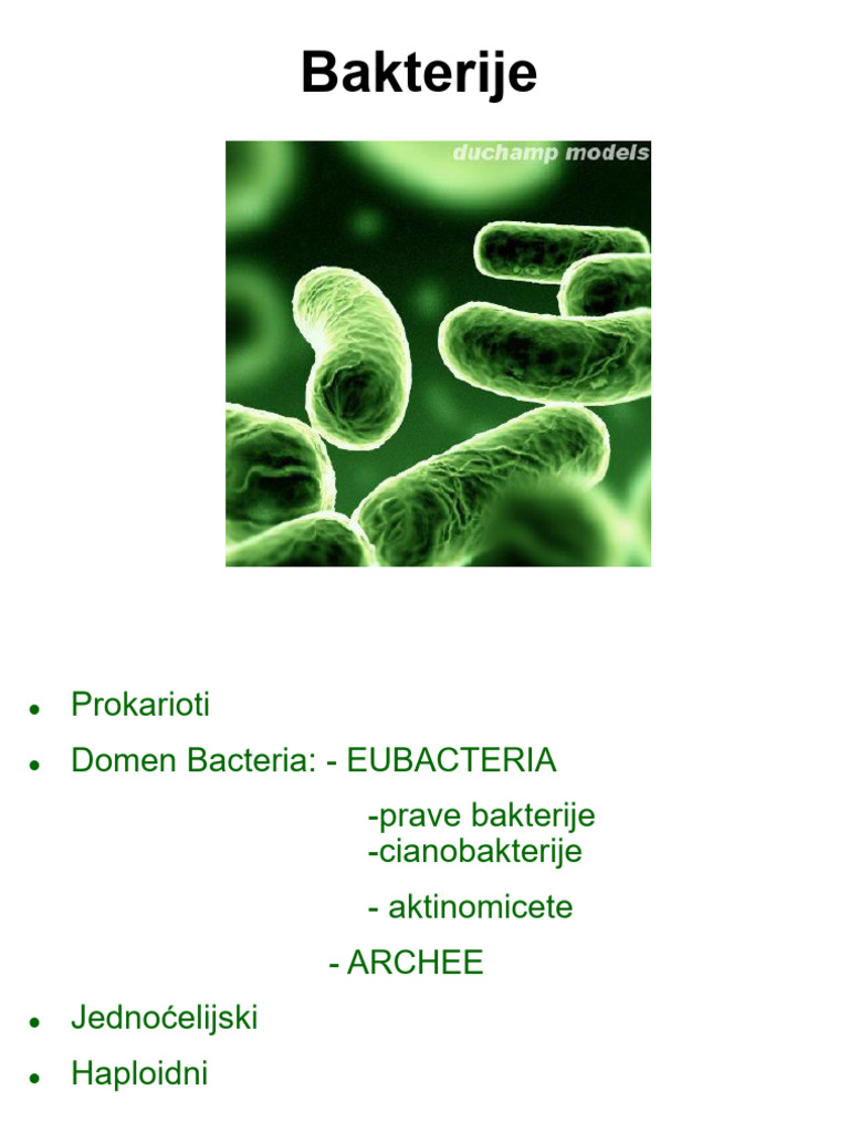 7 Bacteria | PDF