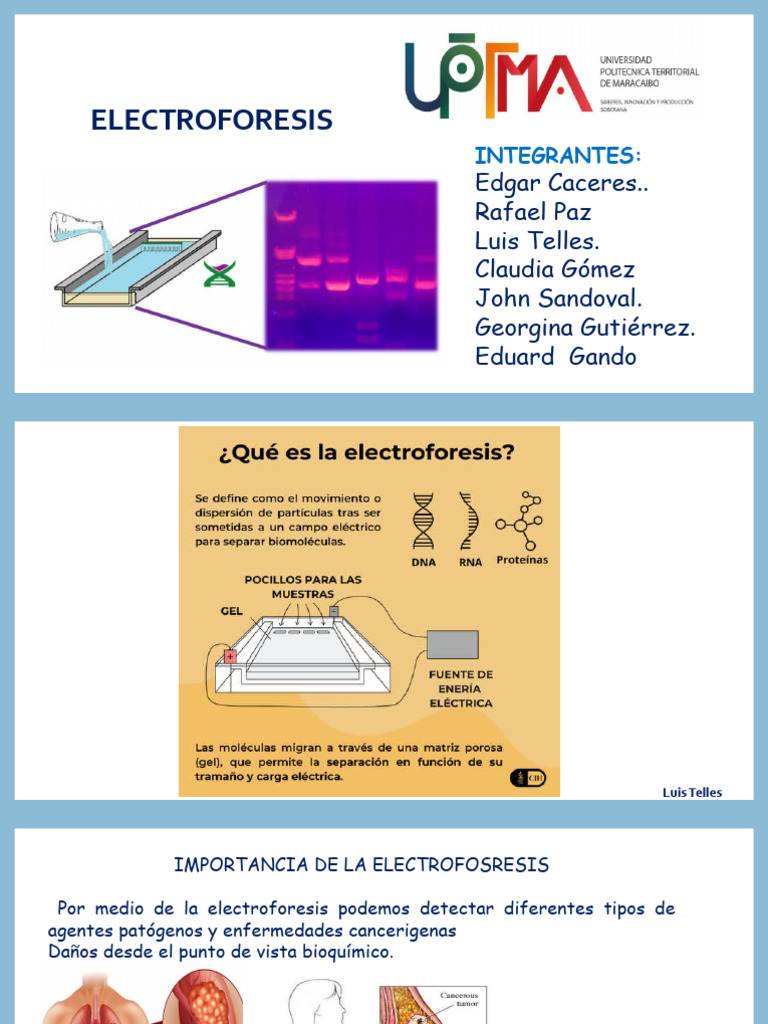 Electroforesis | PDF | Electroforesis | Biología Molecular