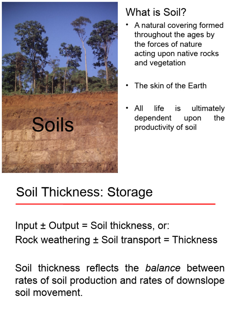 Week 9 Soil and Land | PDF | Soil | Erosion