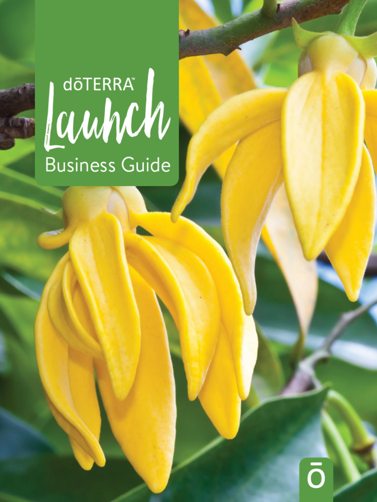 Launch Guide | PDF Launch Guide | PDF