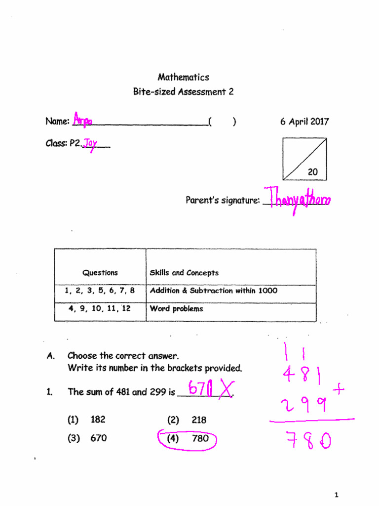 P2 Maths SA1 2017 ACS Exam Papers | PDF