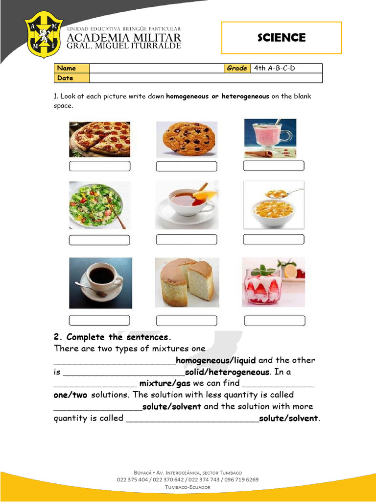 Worsheet Homogeneous VS Heterogeneous | PDF