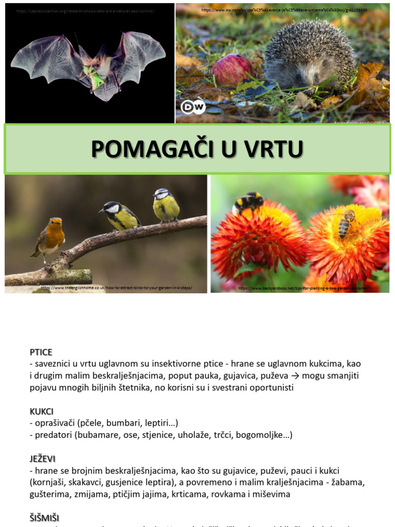 P 7b Pomagaci U Vrtu ST | PDF