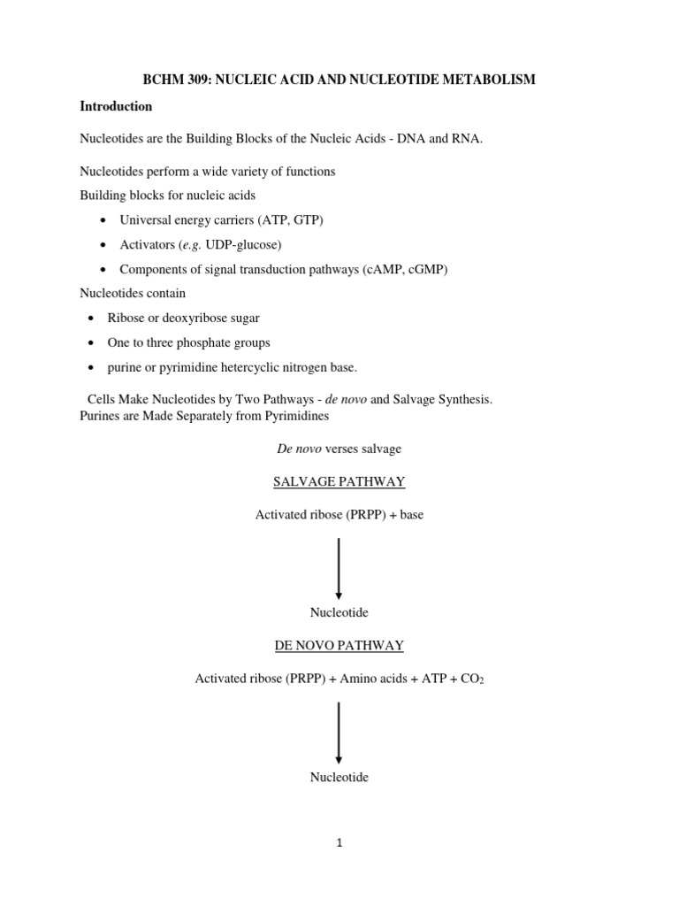 BCHM 309 Lecture Notes - UPDATED | PDF BCHM 309 Lecture Notes - UPDATED | PDF