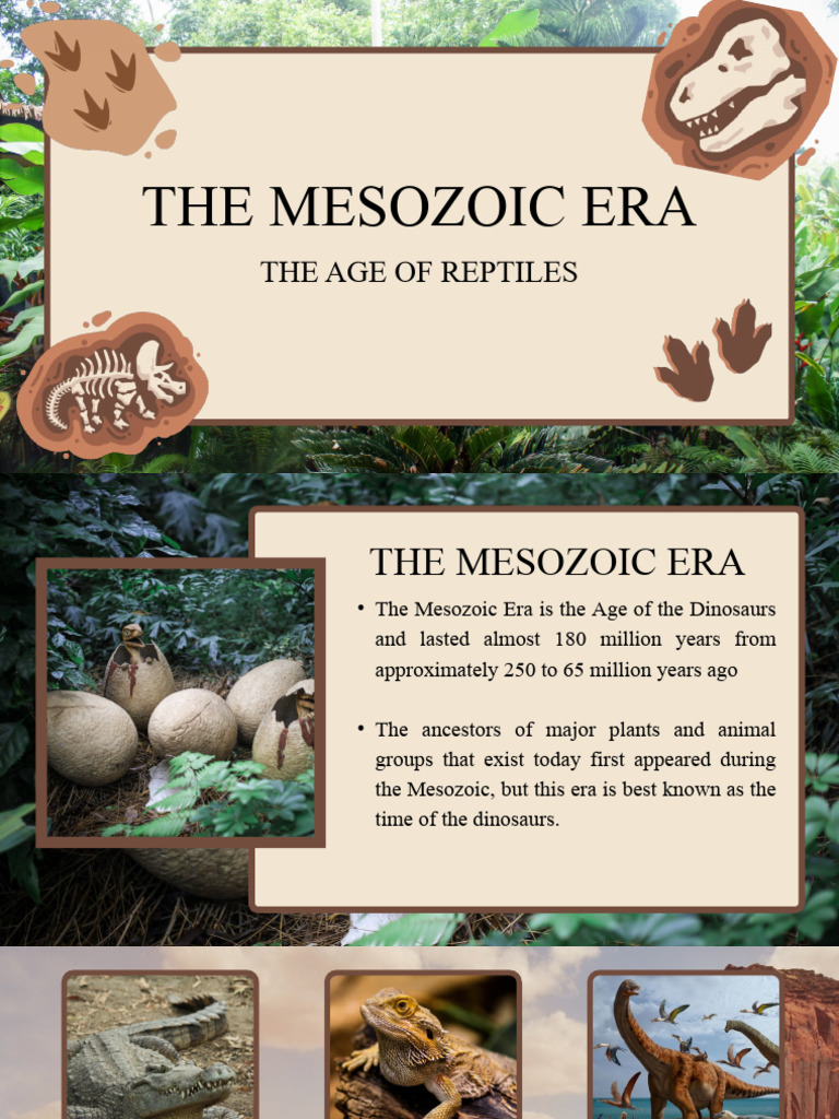 The Mesozoic Era | PDF