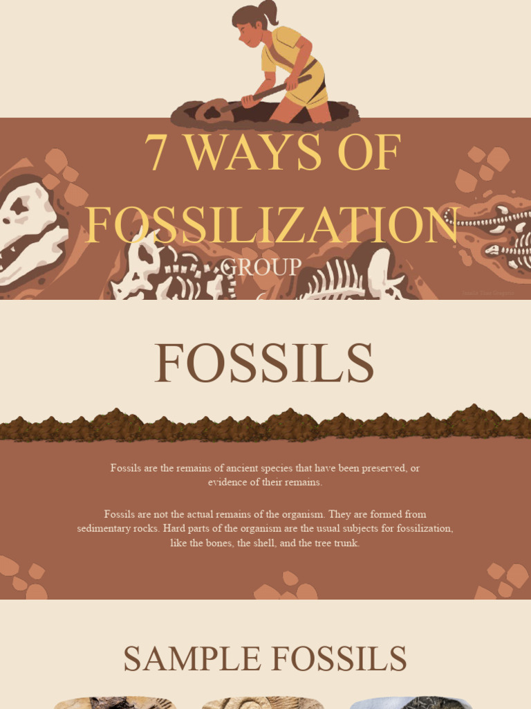 7 Ways of Fossilization - 20240217 - 230108 - 0000 | PDF | Fossil ...