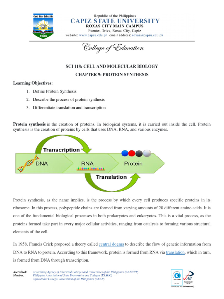 Chapter 9 (Protein Synthesis) | PDF | Translation (Biology) | Ribosome