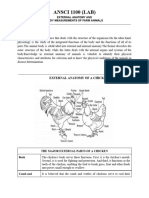 External Anatomy of Farm Animals | PDF
