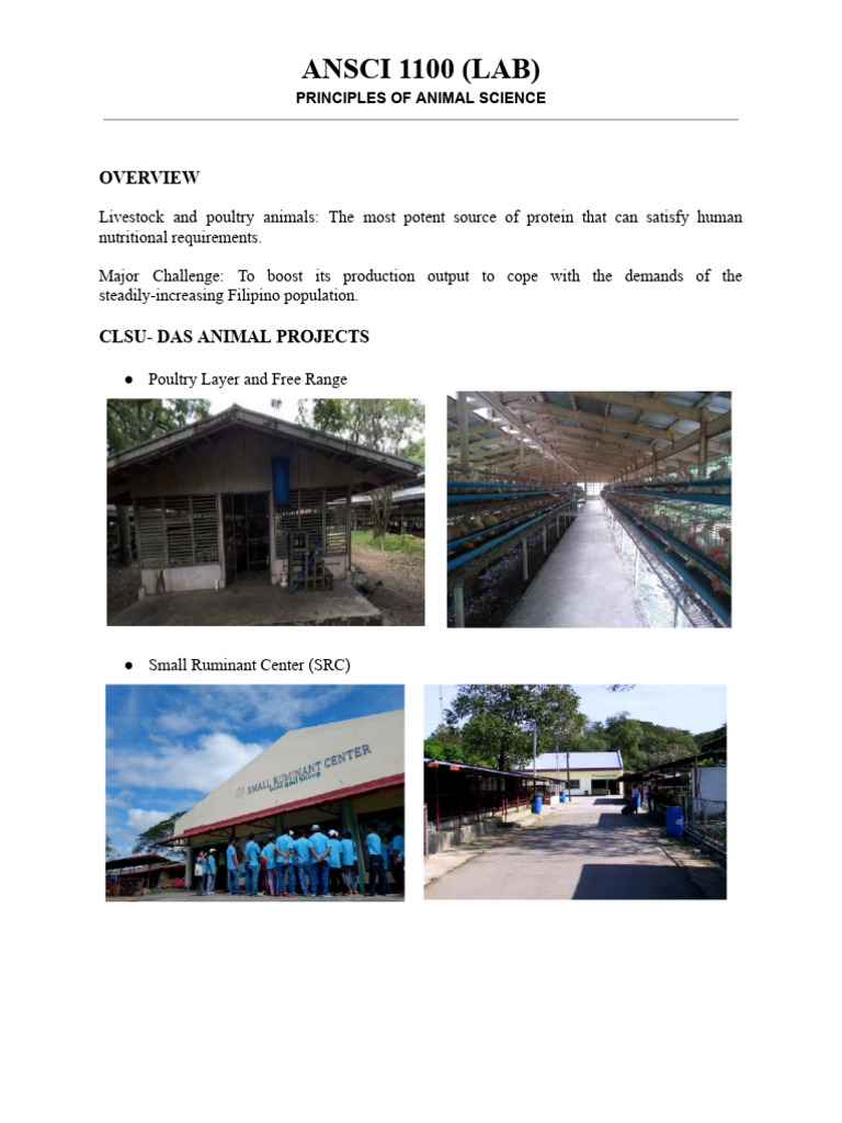 ANSCI Module 1 | PDF | Chicken | Sheep