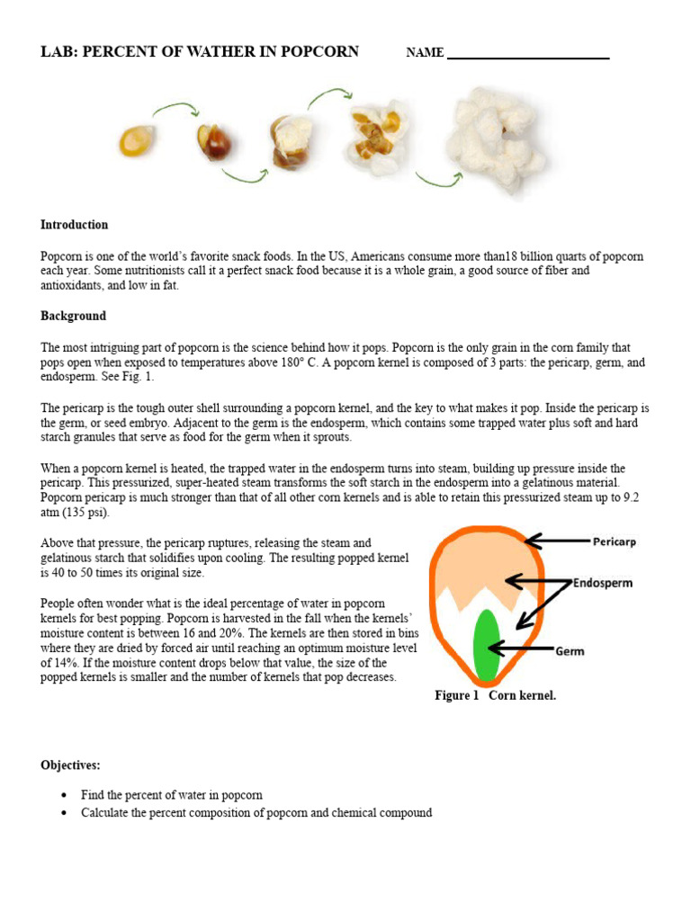 Percent Compostion of Water in Popcorn KEY | PDF | Popcorn
