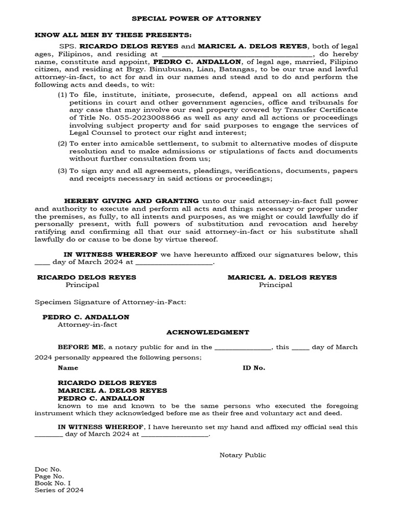 SPECIAL POWER OF ATTY TO FILE A CASE SPS. RICARDO DELOS REYES and ...