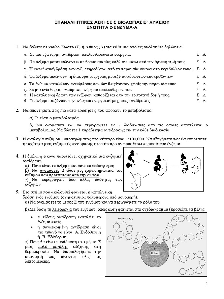 ΑΣΚΗΣΕΙΣ ΕΝΖΥΜΑ | PDF