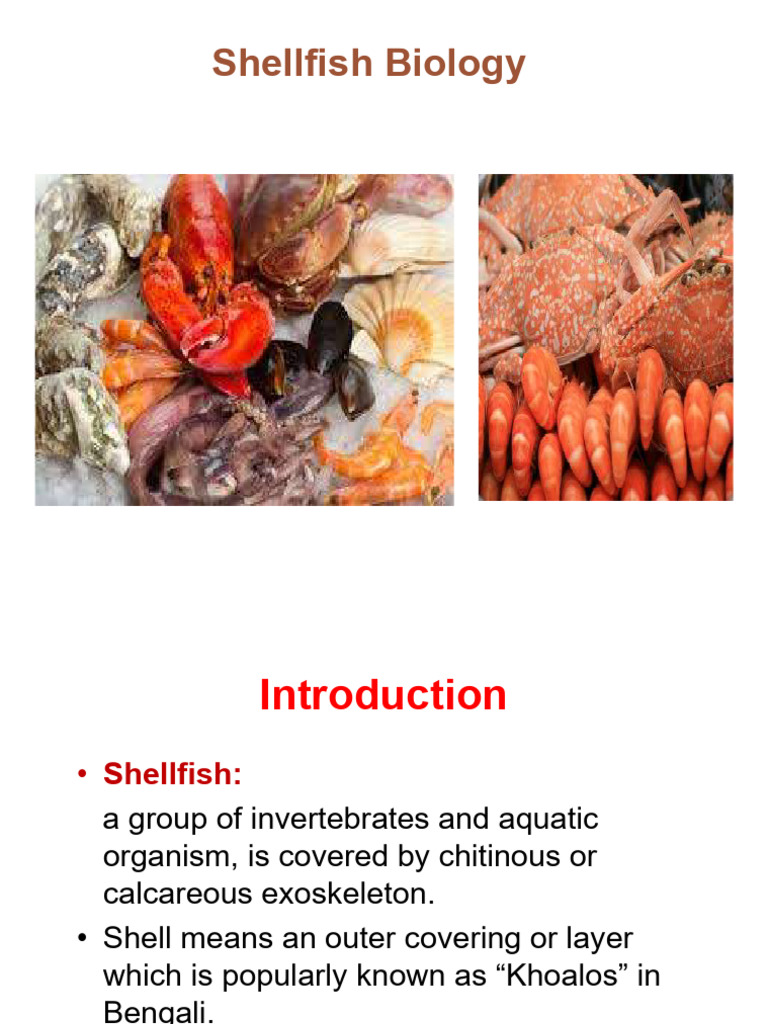 Macrobrachium Rosenbergii (Golda) - Shellfish Biology | PDF | Spawn ...
