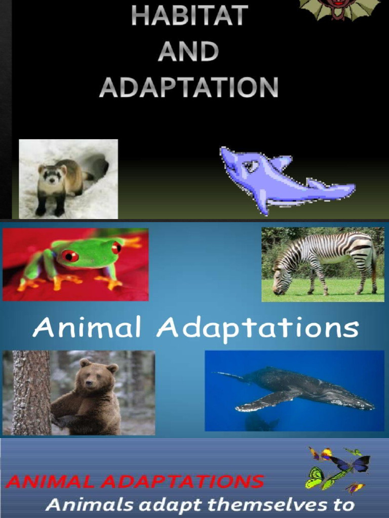 Animal Adaptations in Various Habitats | PDF | Language Arts ...