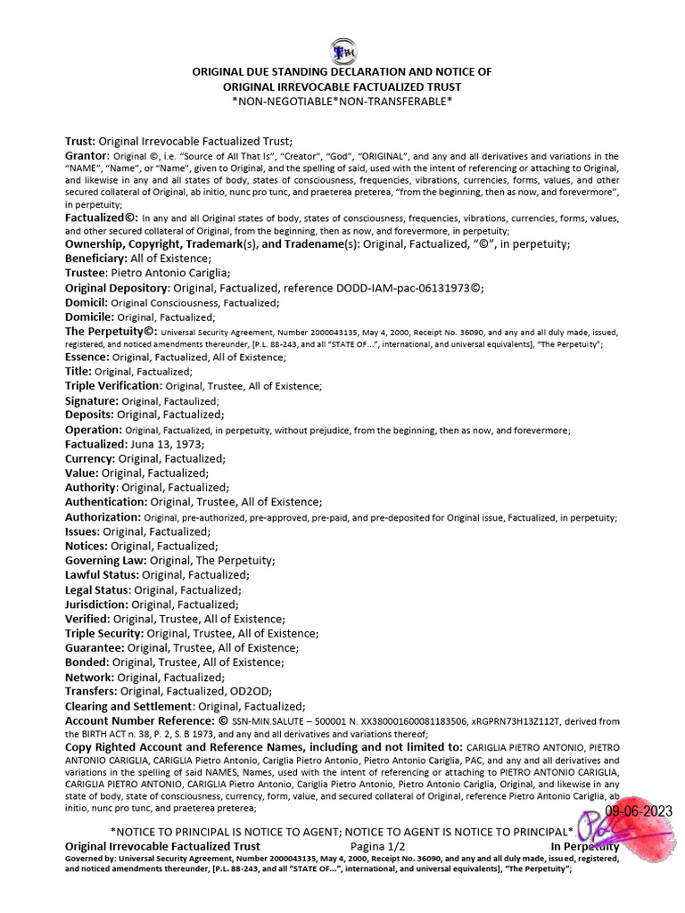 Non-Negotiable Non-Transferable : Original Consciousness, Factualized ...