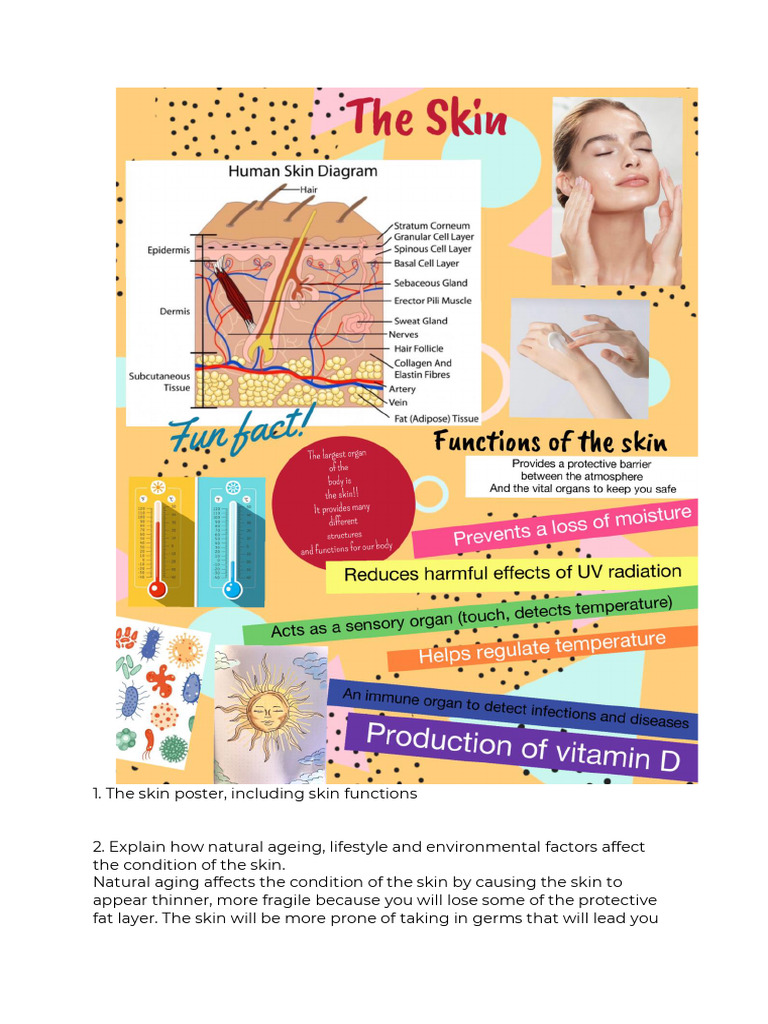 Skin Facts | PDF | Dermatitis