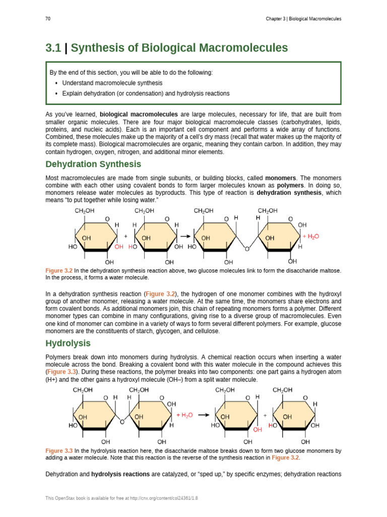 Chapter 3 - Biological Macromolecules | PDF | Omega 3 Fatty Acid | Lipid