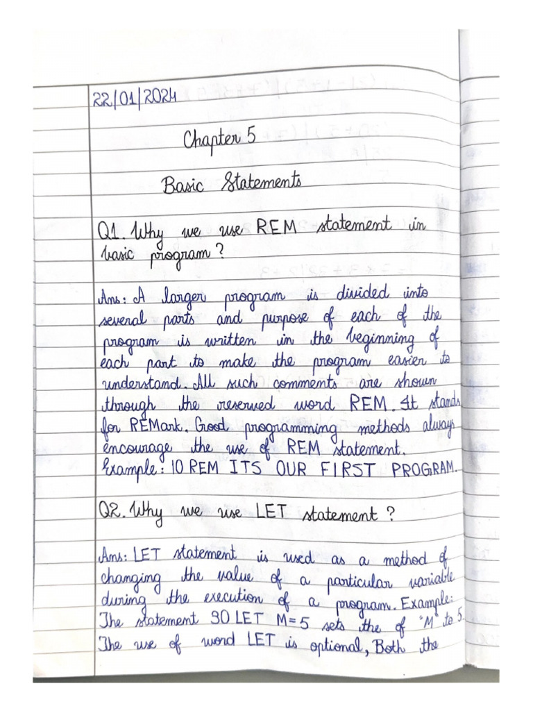 Chapter 5 Class 8 Computer Basic Statements | PDF