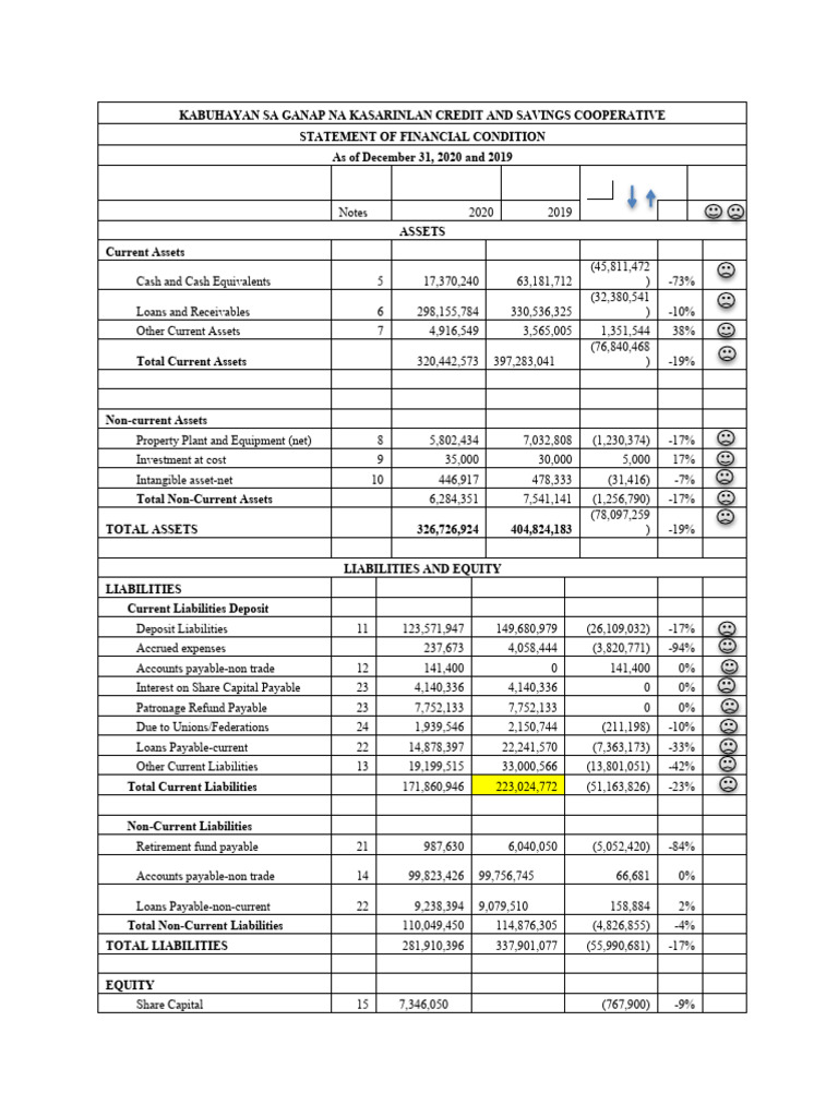 2020 Financial Report: Cooperative Analysis | PDF | Equity (Finance ...