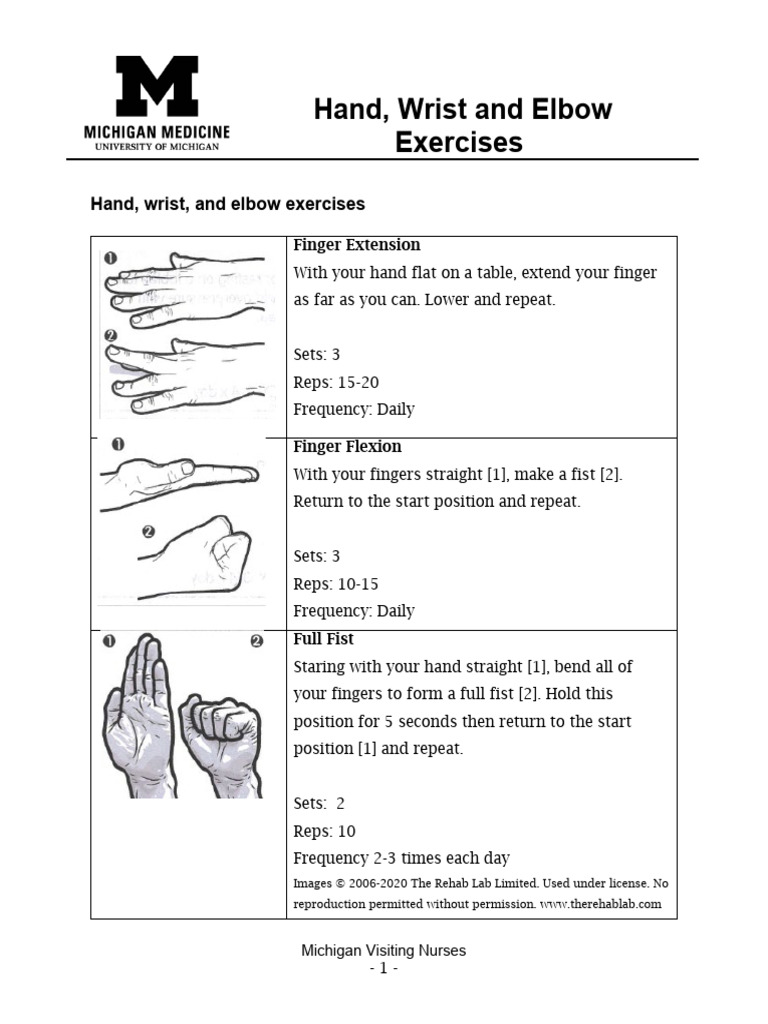 Hand Wrist Elbow | Download Free PDF | Anatomical Terms Of Motion | Hand