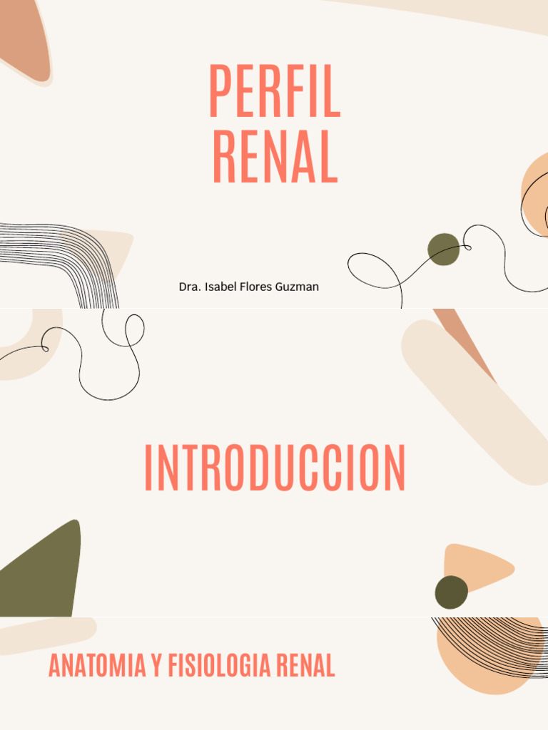 Perfil Renal | PDF | Creatinina | Riñón